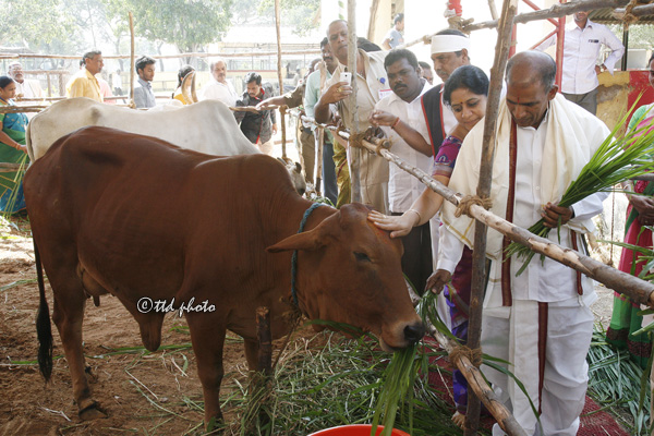 Tirumala Tirupati Devasthanams (Official Website)