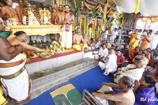 Tirumala Tirupati Devasthanams (Official Website)