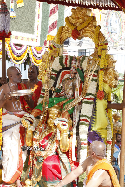 Tirumala Tirupati Devasthanams (Official Website)