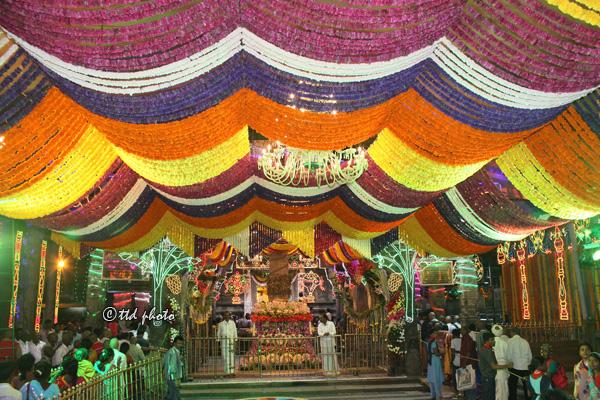 Tirumala Tirupati Devasthanams (Official Website)