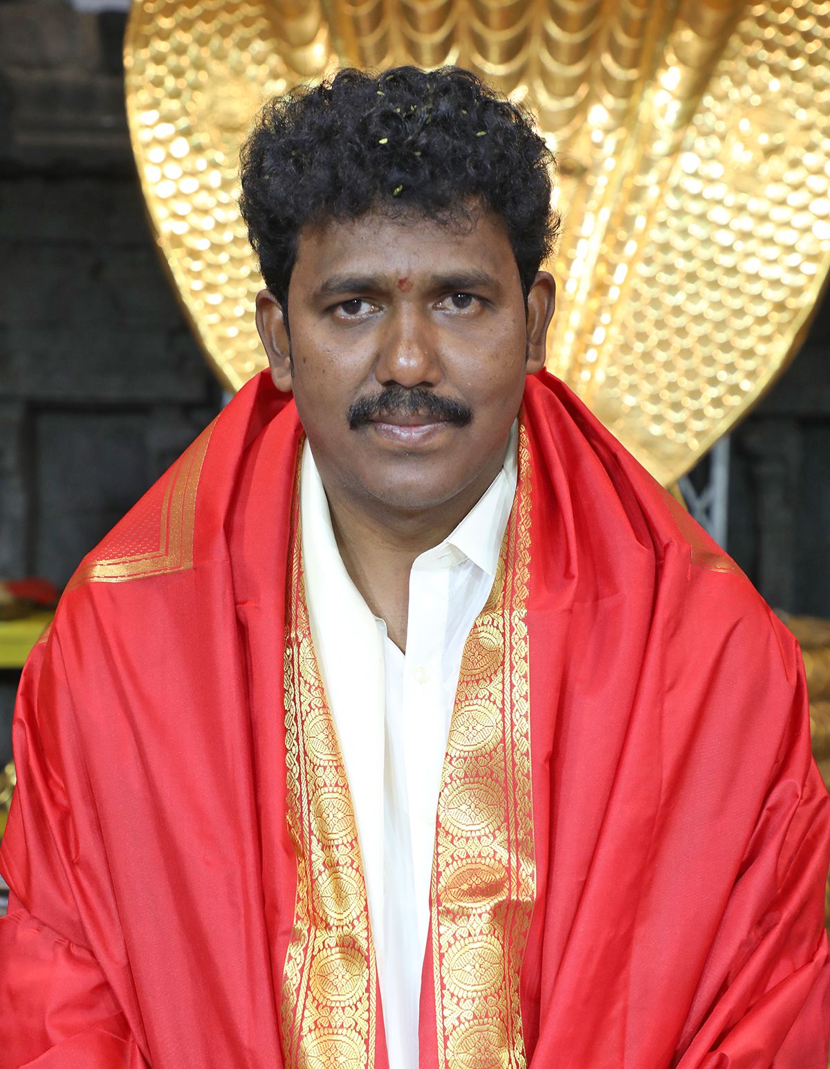 Tirumala Tirupati Devasthanams (Official Website)